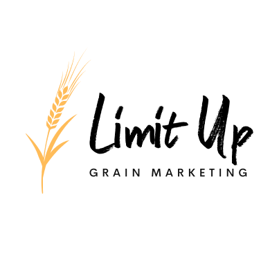 Combyne Ag - Copilot